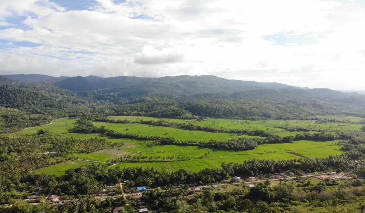 Menyusuri Hutan Lambusango: Petualangan Alam di Pulau Buton